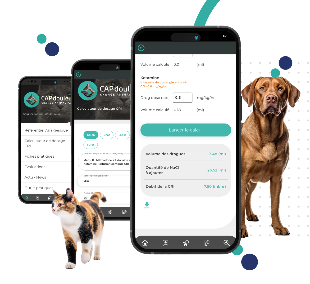 Calculateur de dosage CRI | CAPdouleur